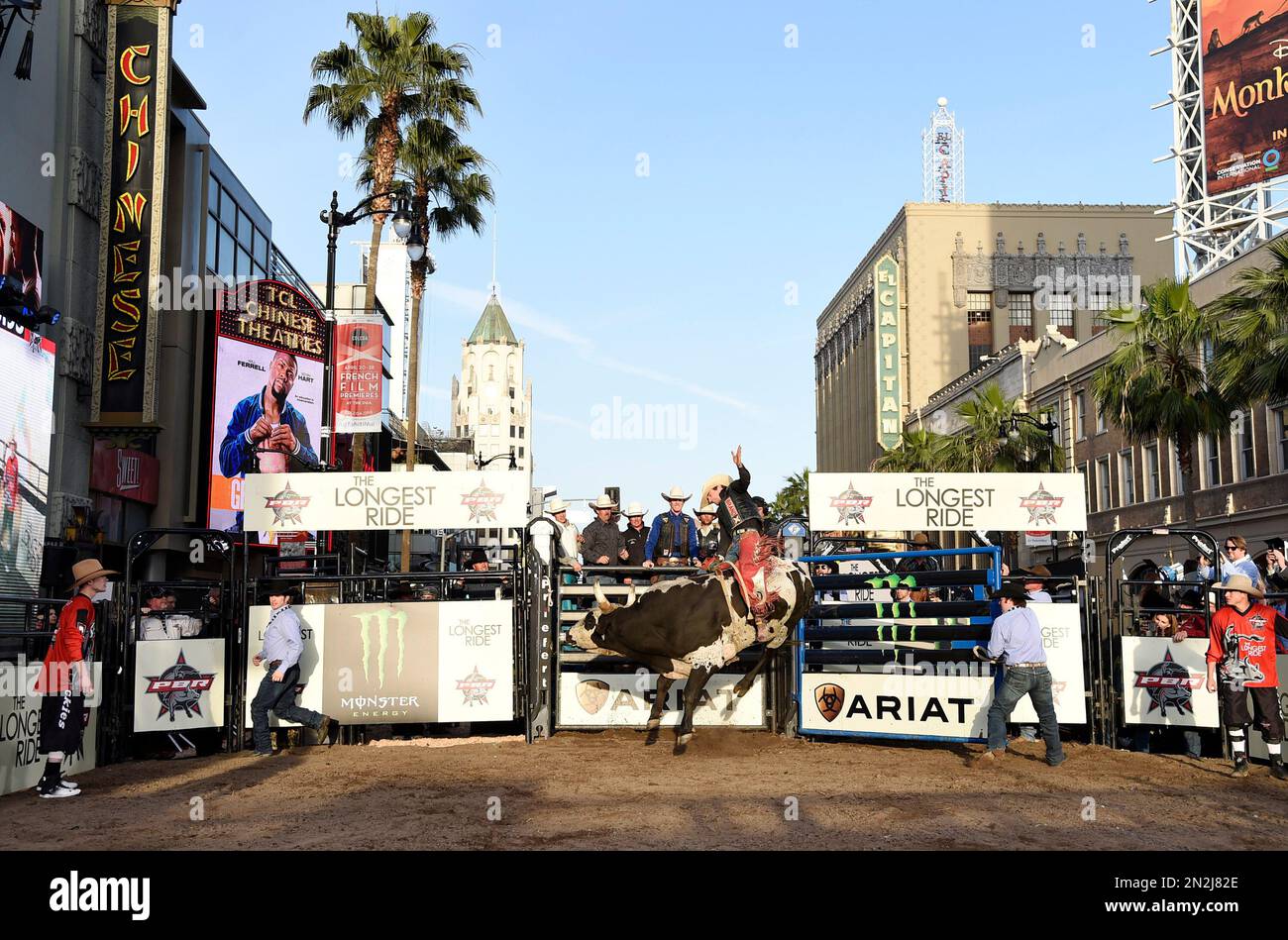 A professional bull rider participates in a bull riding exhibition at ...