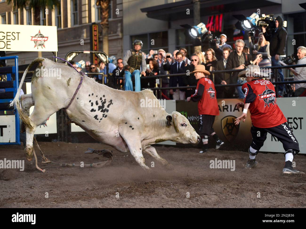 A professional bull rider participates in a bull riding exhibition at ...