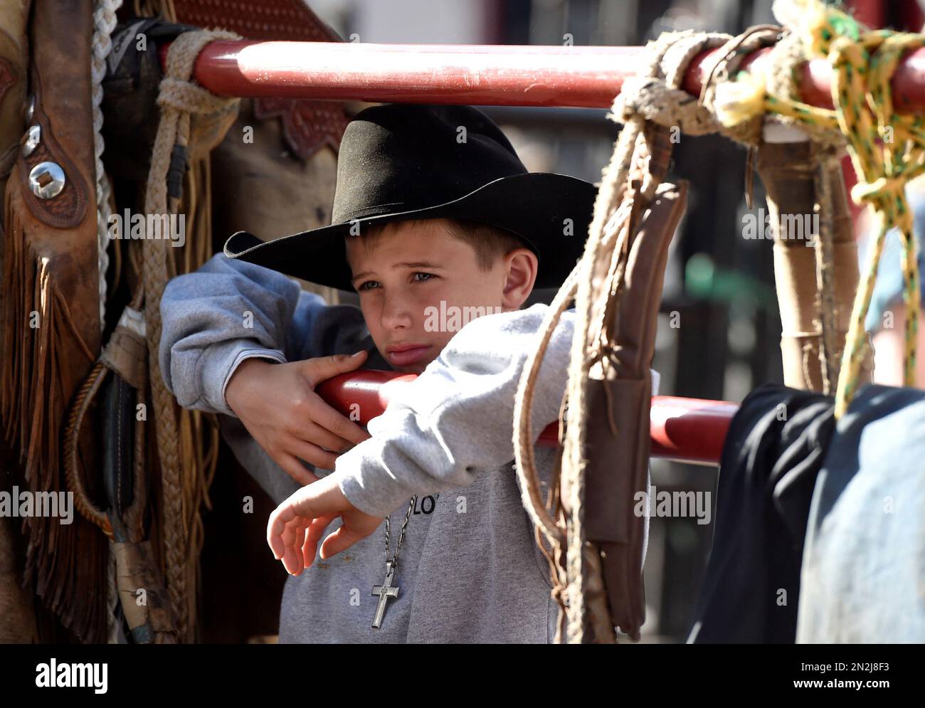 Gavin Matthews watches as ropes are prepared for the bull riding ...