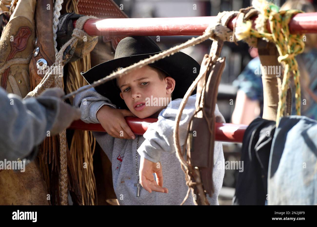 Gavin Matthews watches as ropes are prepared for the bull riding ...