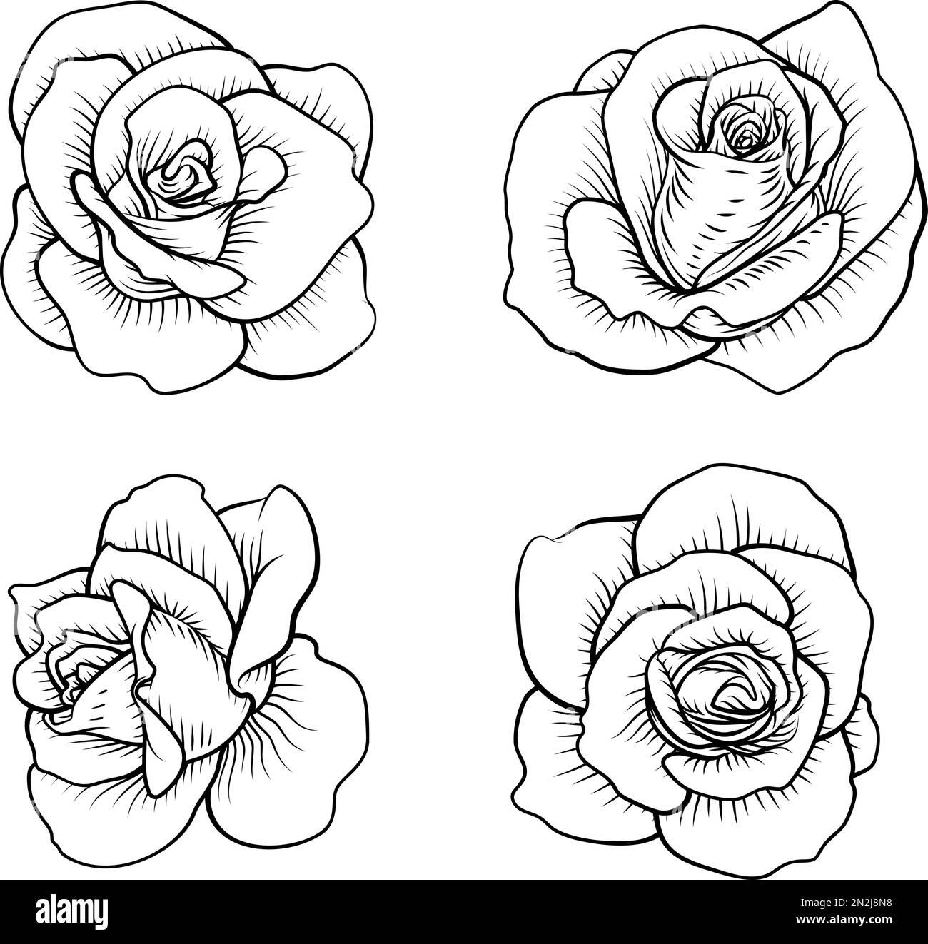 Set of Roses Rose Flowers in Vintage Woodcut Style Stock Vector Image ...