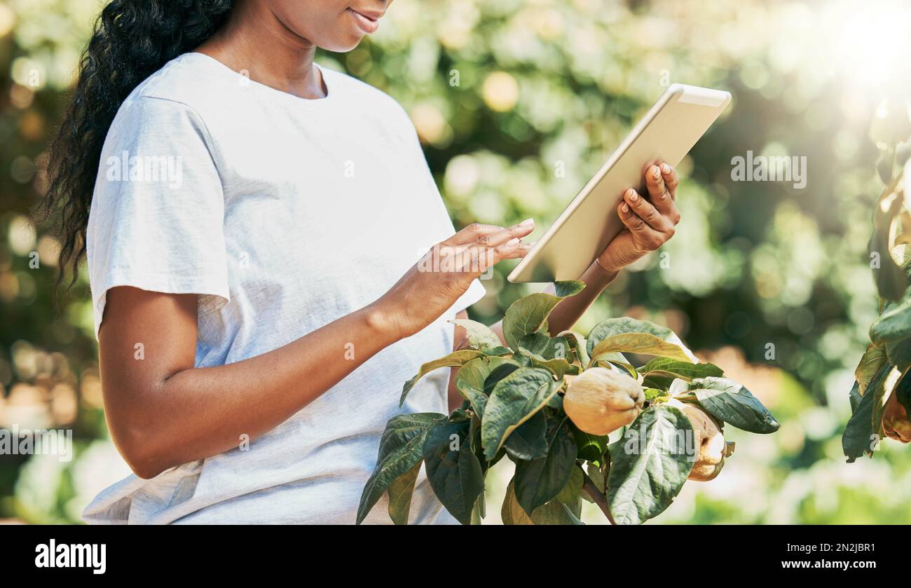 African farm hands hi-res stock photography and images - Alamy
