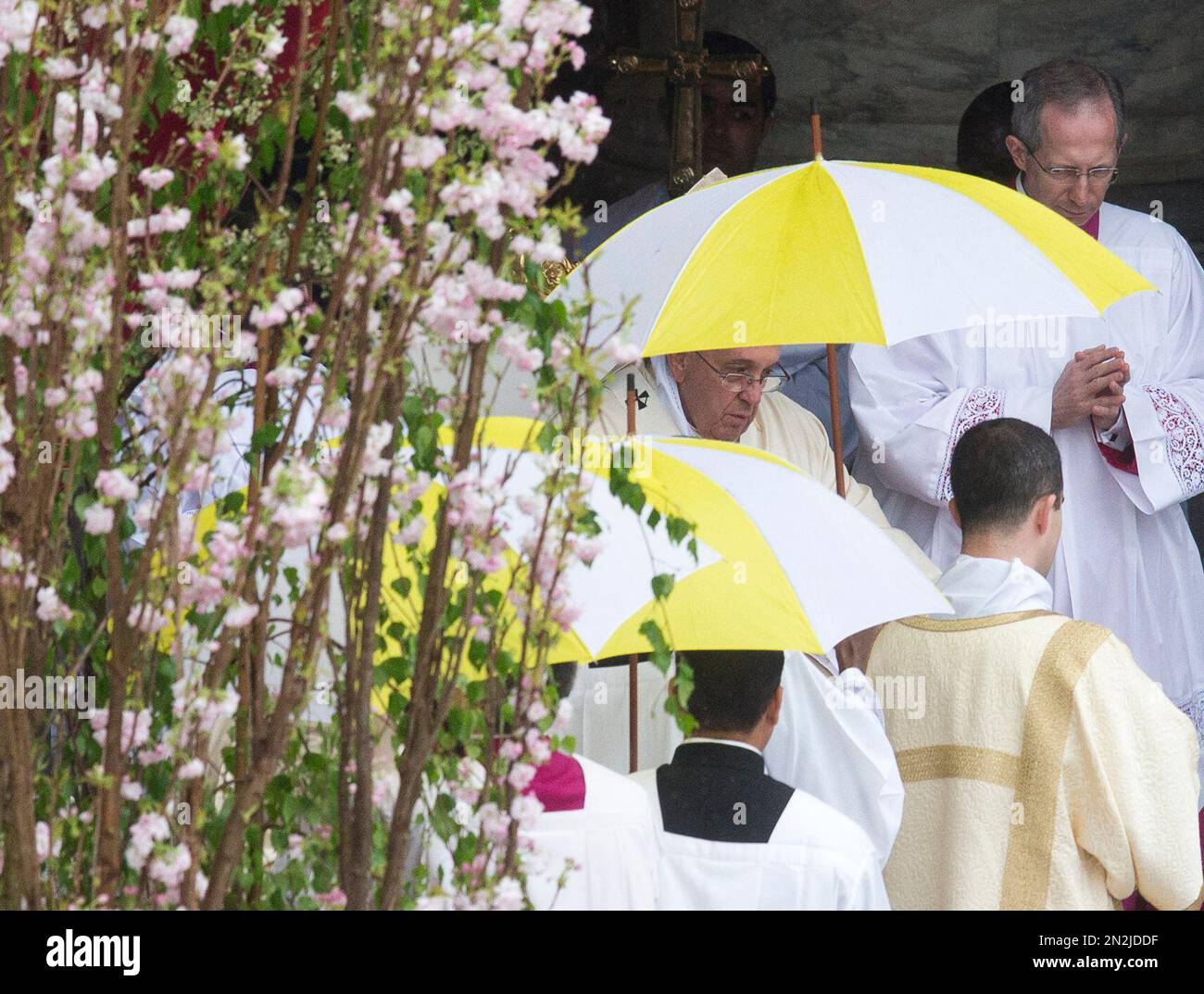 Pope Francis is framed by umbrellas as he celebrates the Easter Mass in ...