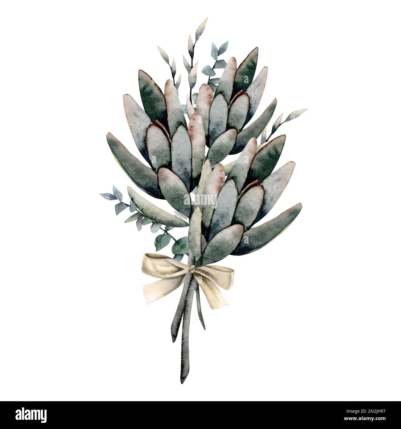 Succulent grass on background Cut Out Stock Images & Pictures - Alamy