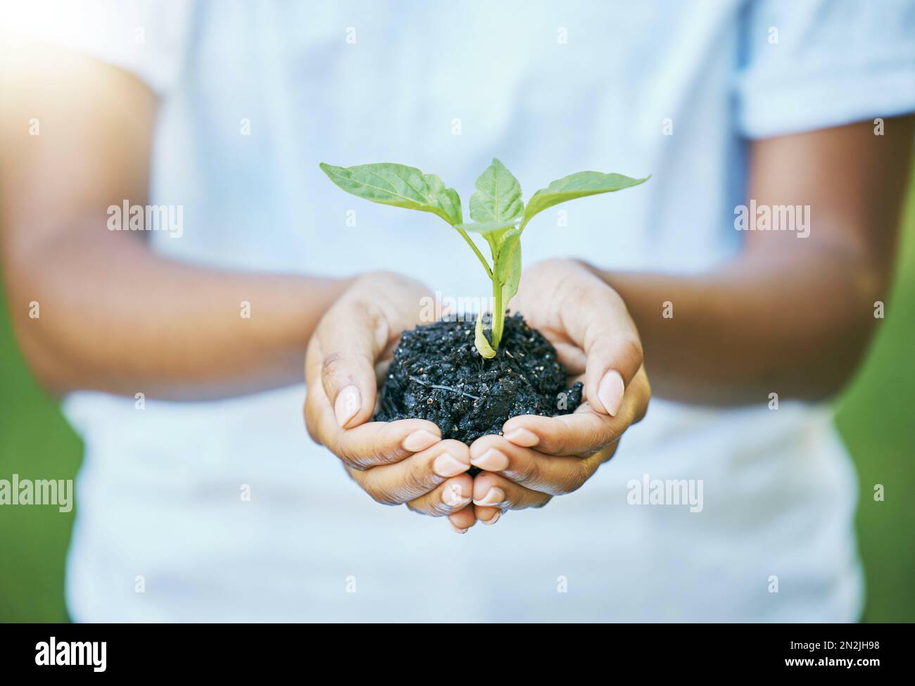 Hands, plants and growth for earth day, sustainability and volunteering in gardening ...