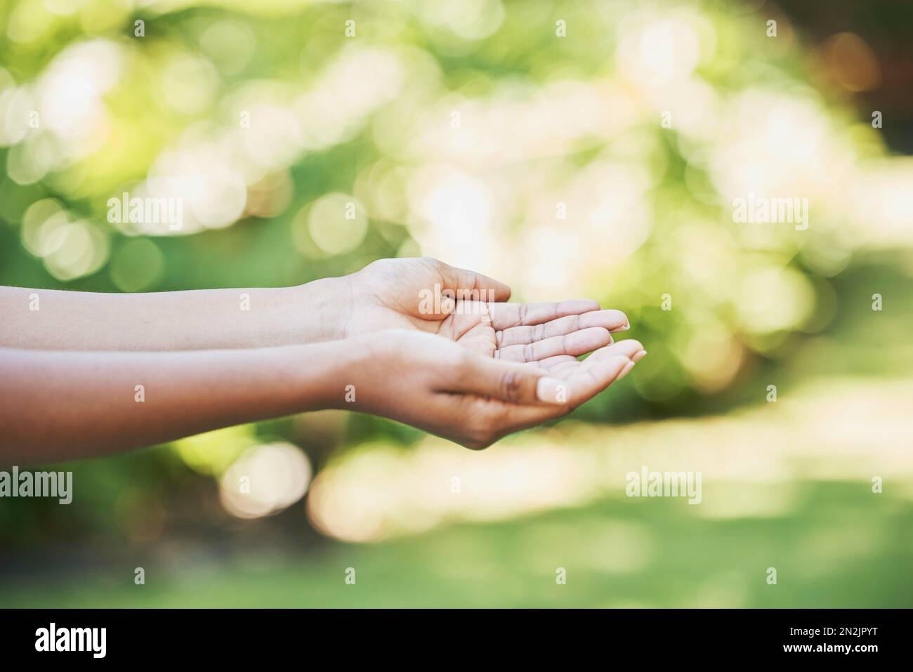 Hands, open and agriculture in care for nature wellness, eco friendly ...