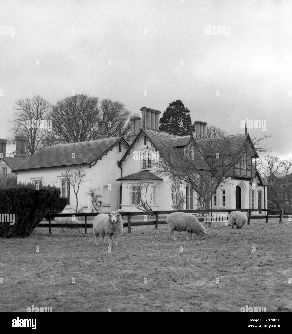 A view of the 17th century Martinstown House, in County Kildare ...