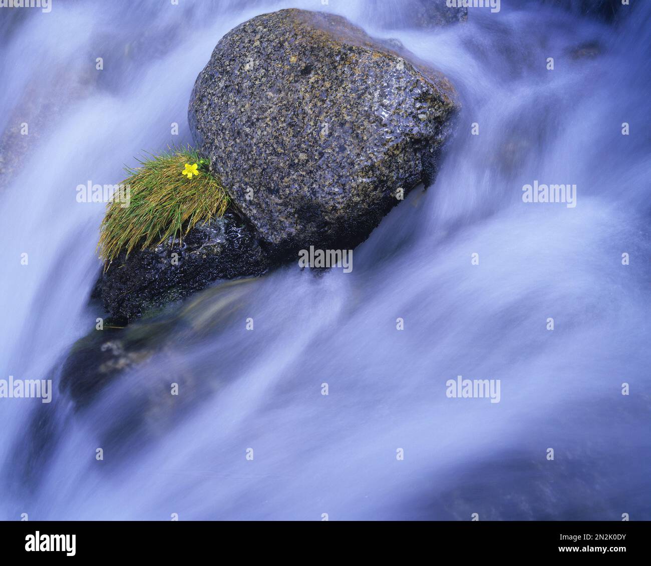 Refuge flow hi-res stock photography and images - Alamy
