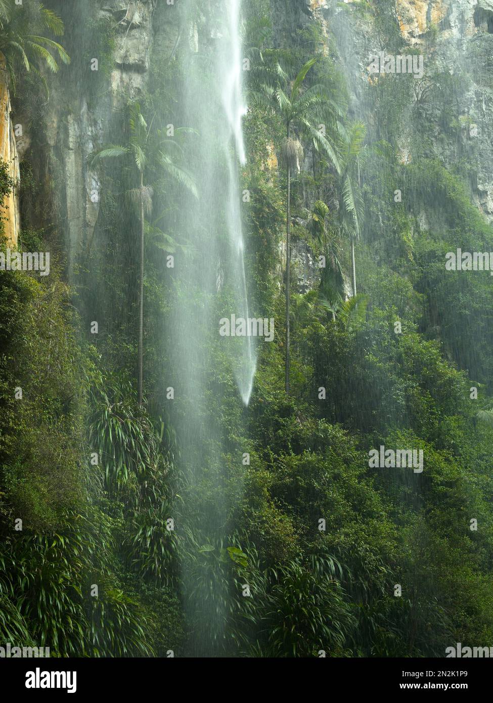 Long drop water fall in Australia Stock Photo - Alamy