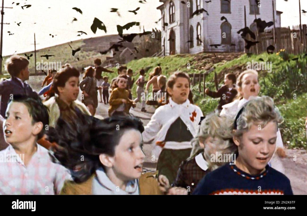 THE BIRDS 1963 Universal International Pictures film Stock Photo - Alamy