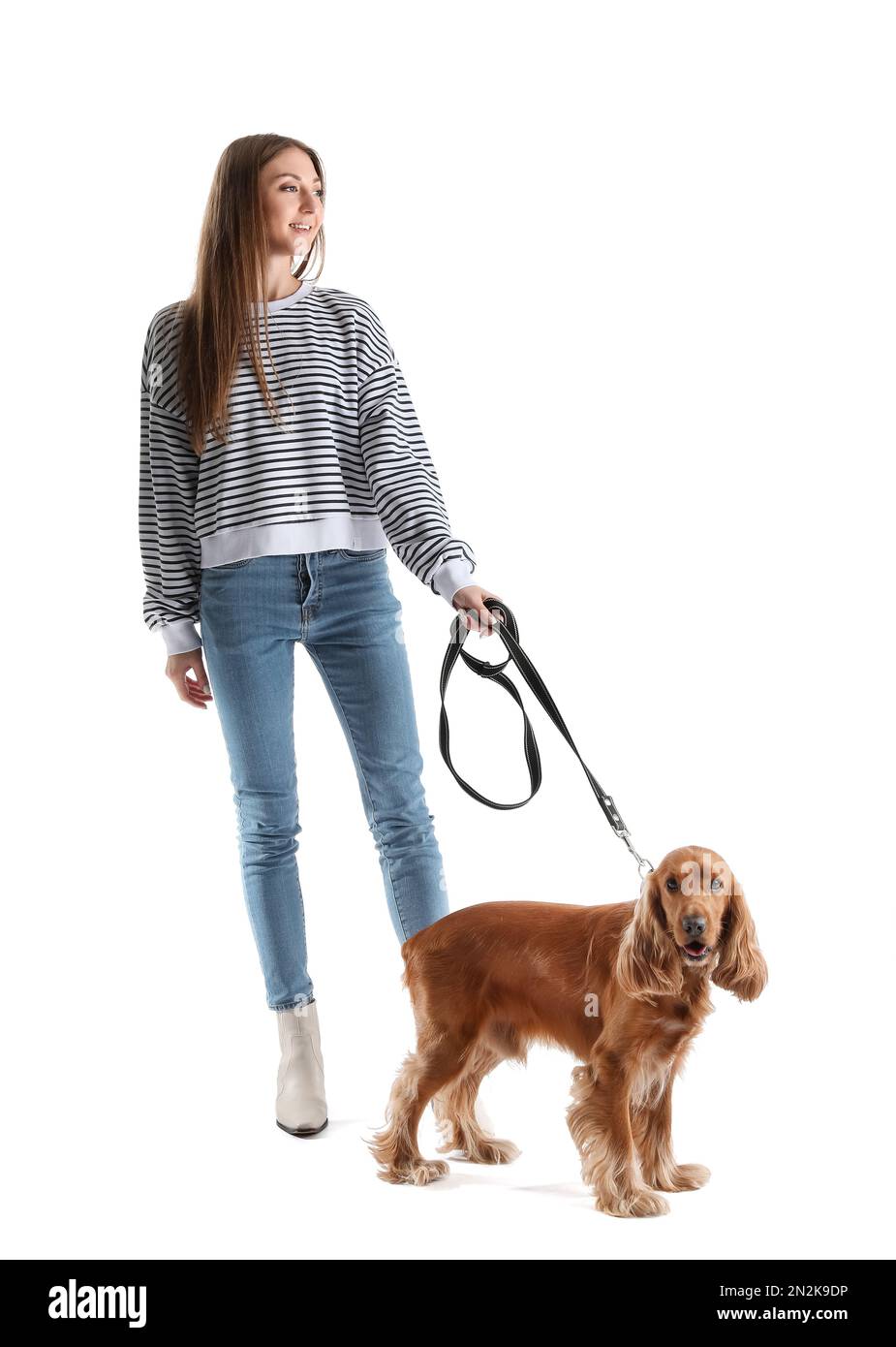 Young woman with red cocker spaniel on white background Stock Photo - Alamy