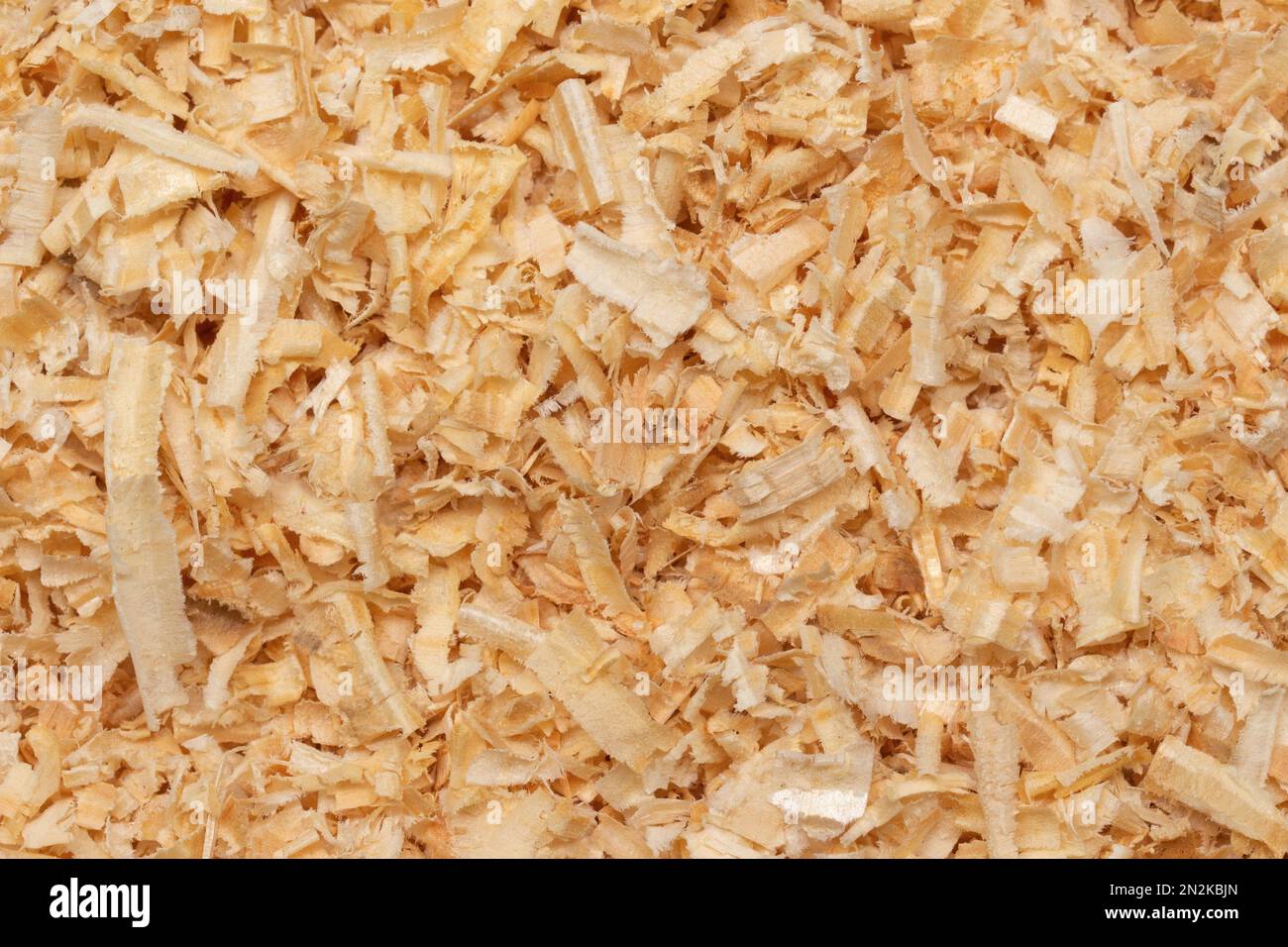 Curly wood shavings hi-res stock photography and images - Alamy