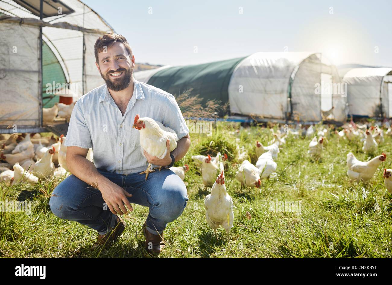 Man on farm, chicken and agriculture with smile in portrait, poultry ...