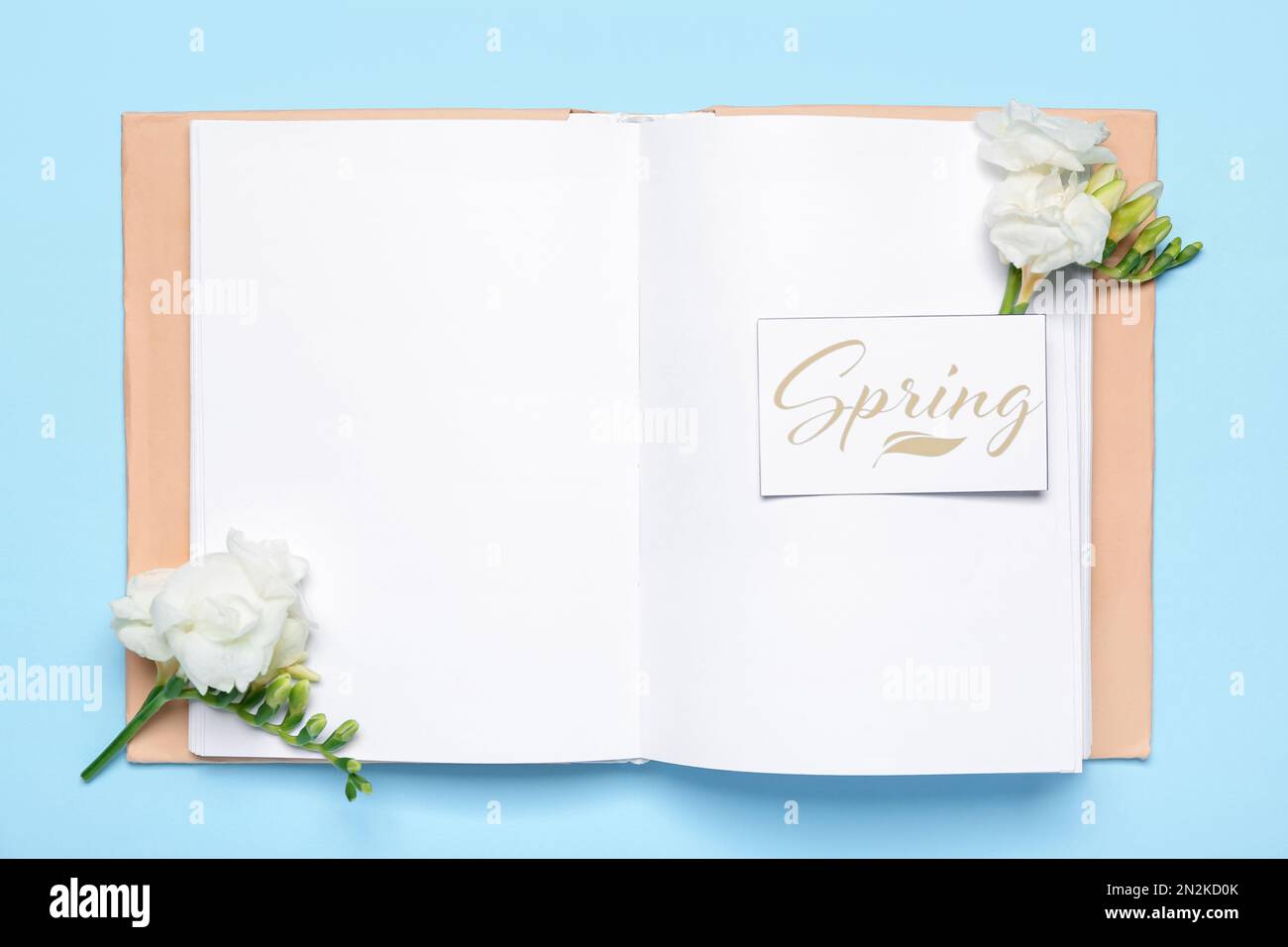 Blank open book, freesia flowers and card with word SPRING on color ...
