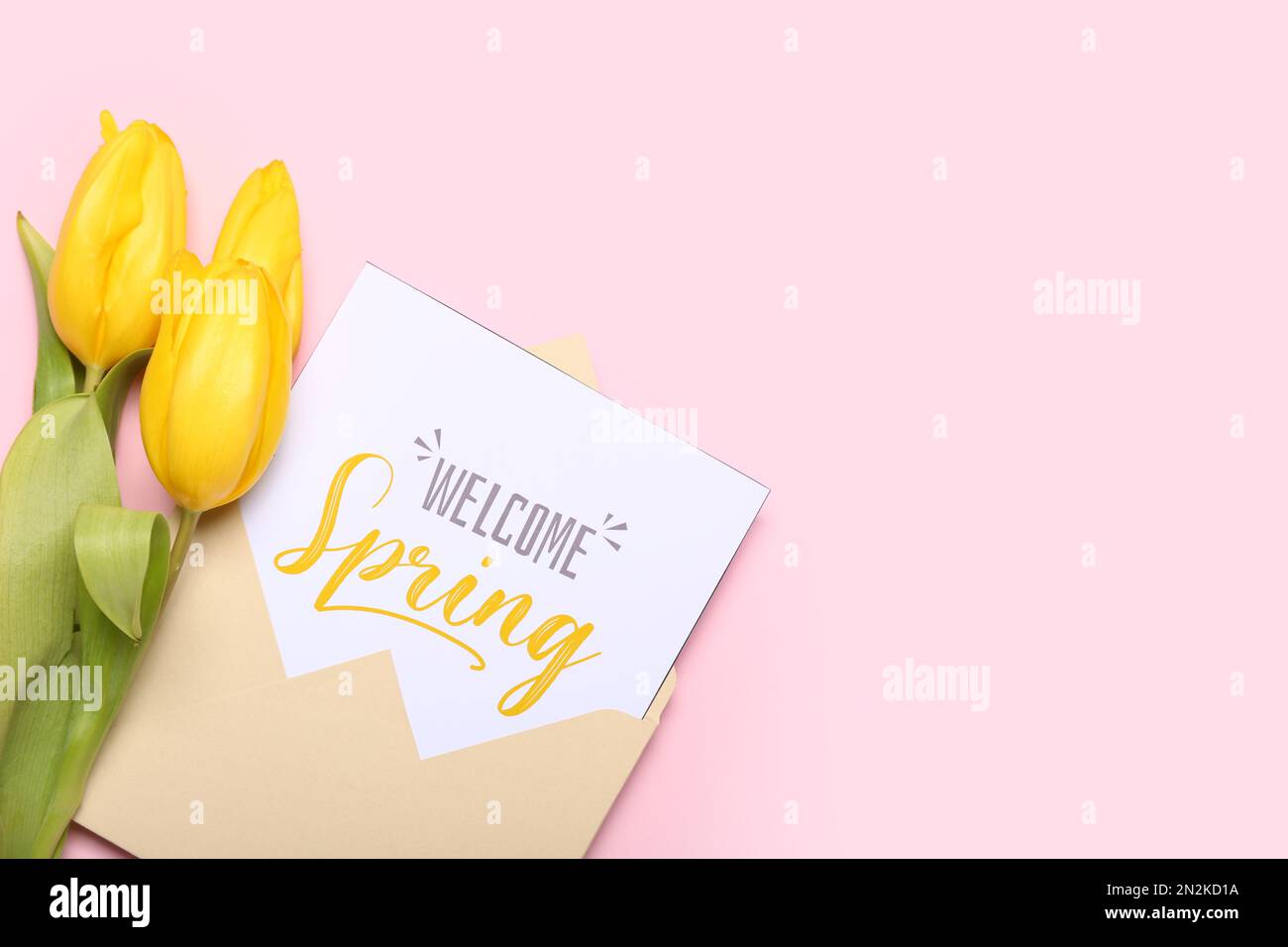 Card with text WELCOME SPRING and tulip flowers on pink background ...