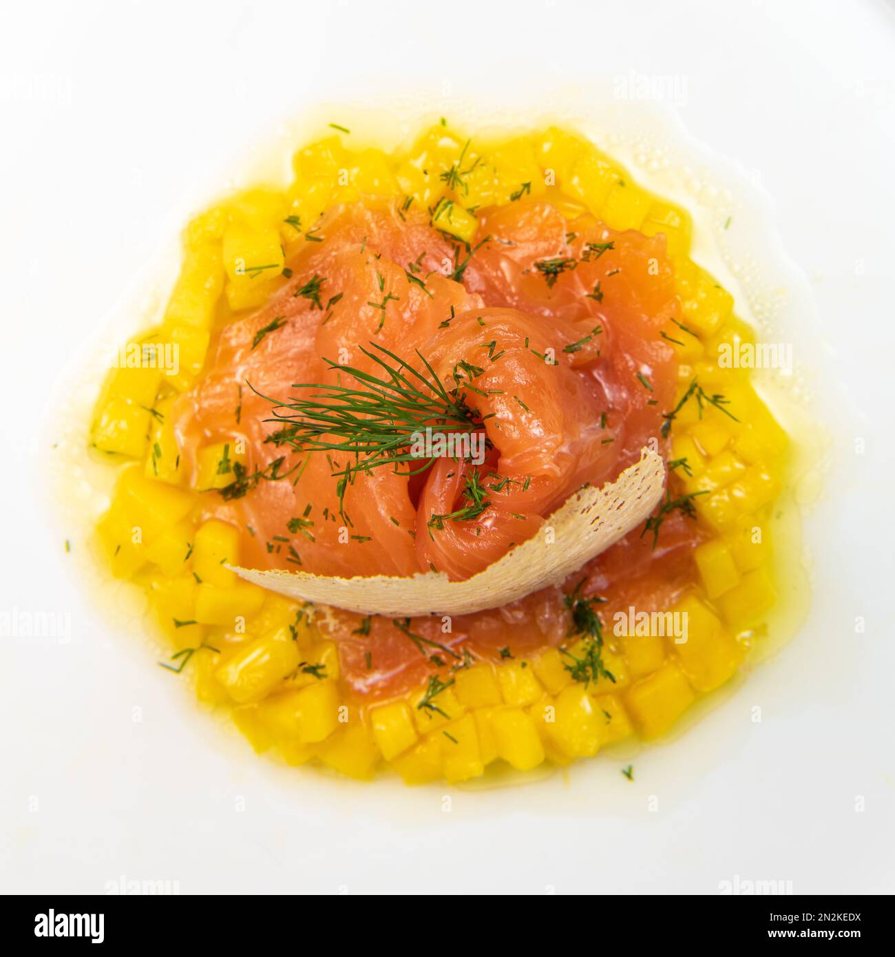 Recipe for salmon gravlax with mango brumoise and white balsamic ...