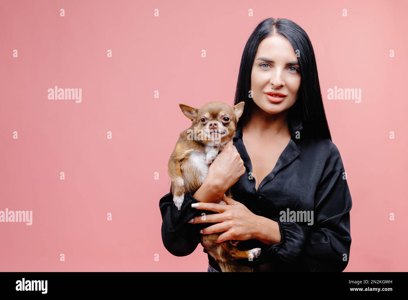 Wonderful european female model chilling in studio with puppy. Indoor ...