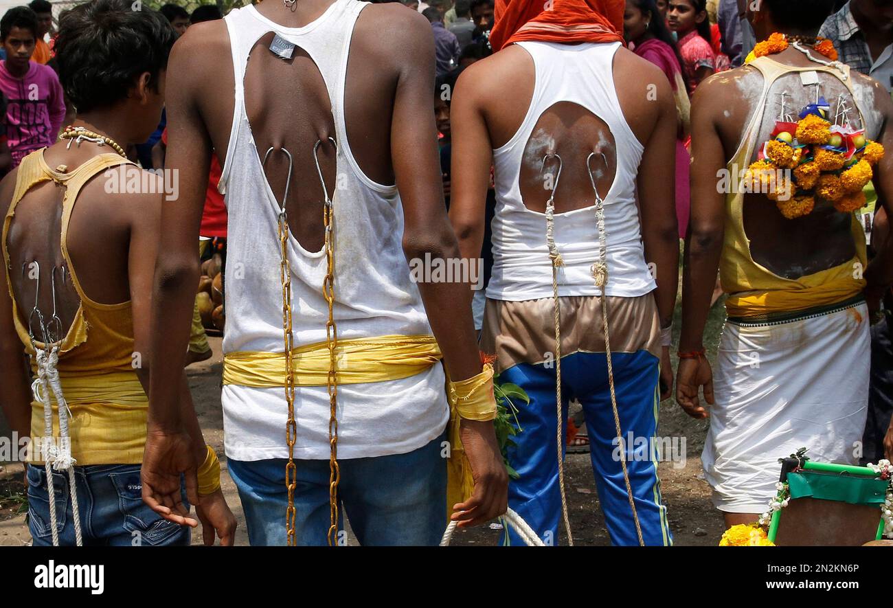 Indian Hindu devotees, their backs pierced with metal hooks as part of ...