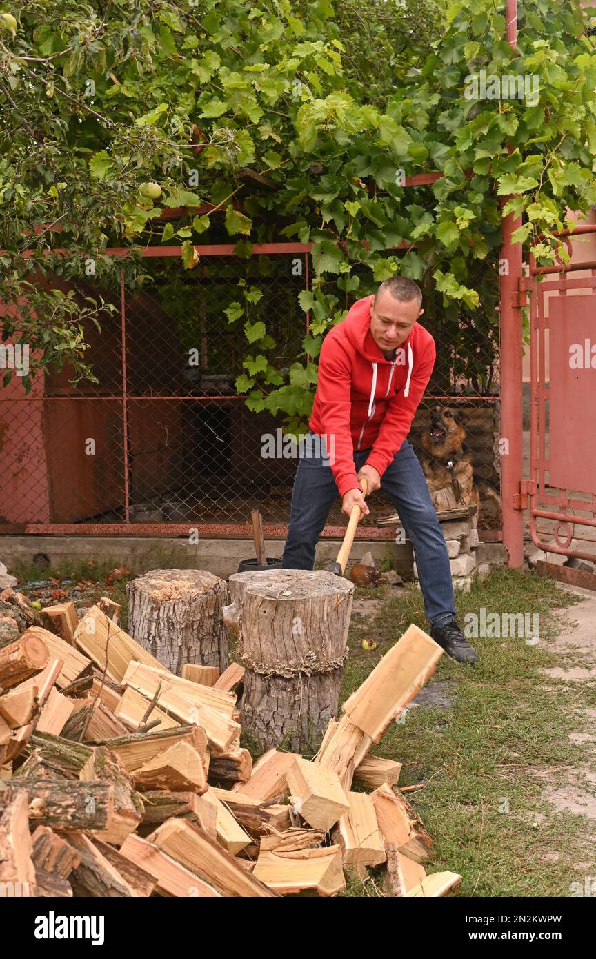 The process of chopping firewood. A man with an axe is chopping ...