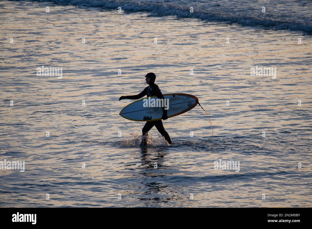 Surfer walking out of sea, St Ouens, Jersey, Channel Islands Stock ...
