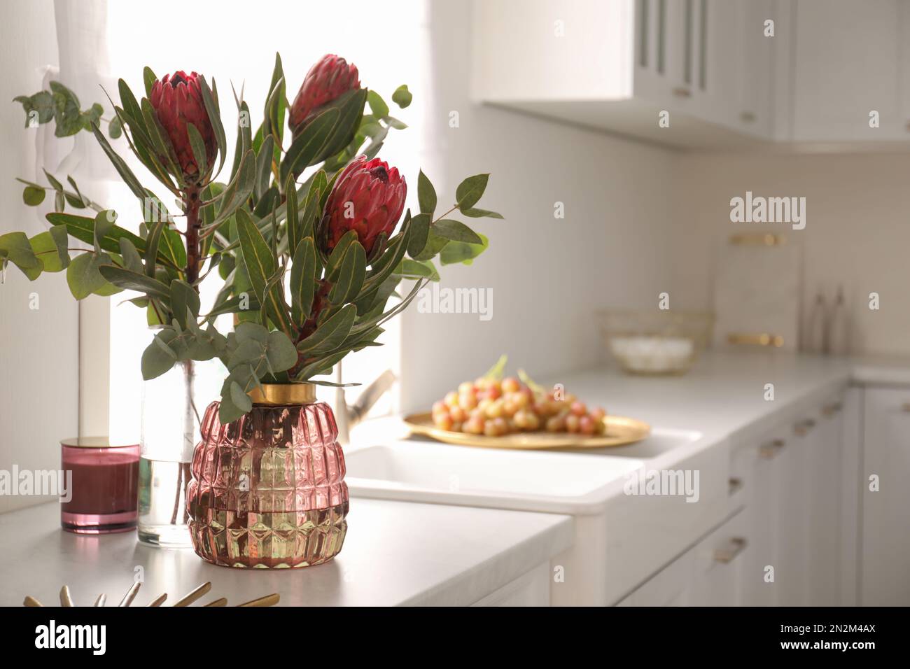 Beautiful protea flowers on countertop in kitchen, space for text. Interior design Stock Photo ...
