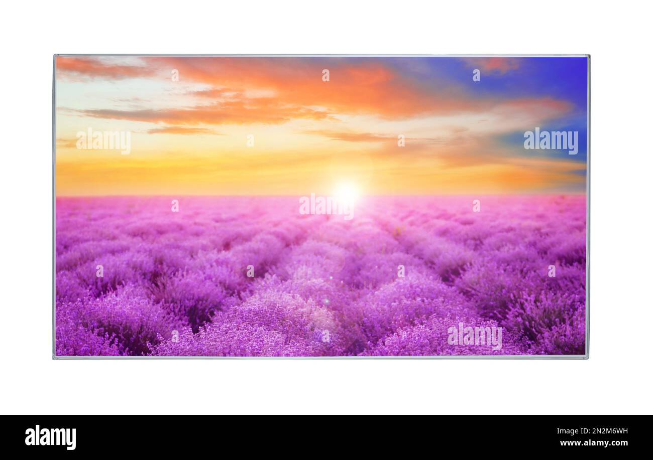 Digital lavender Cut Out Stock Images & Pictures - Alamy