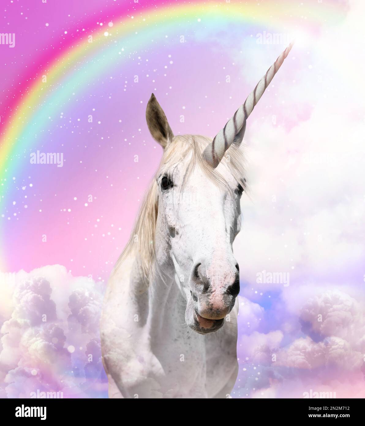 Beautiful Images Of Real Unicorns 4+ Thousand Realistic Unicorn
