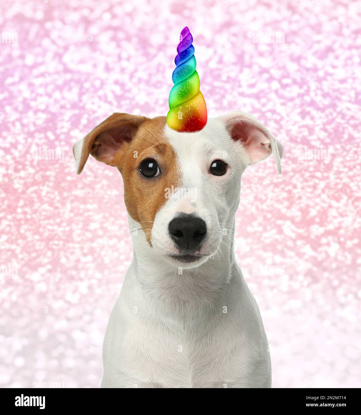 Cute dog with rainbow unicorn horn on blurred sparkling background ...