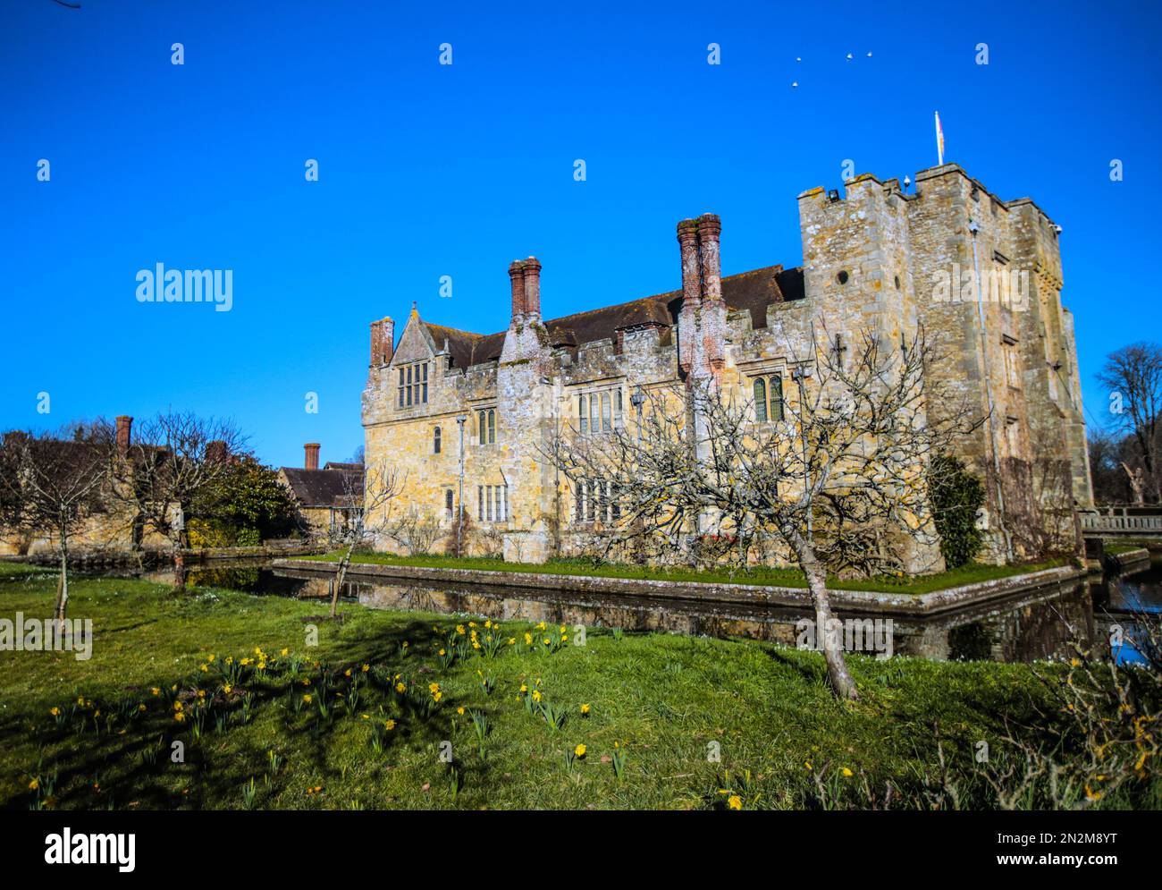 London UK 07 Feb 2023 Spring arrived early in England. White doves ...