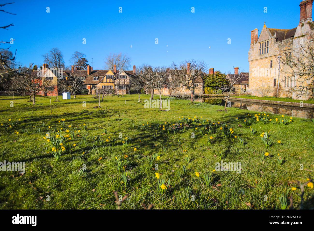 London UK 07 Feb 2023 Spring arrived early in England, Hever Castle ...