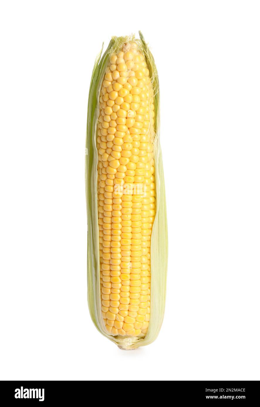 Minimal corn cob hi-res stock photography and images - Alamy