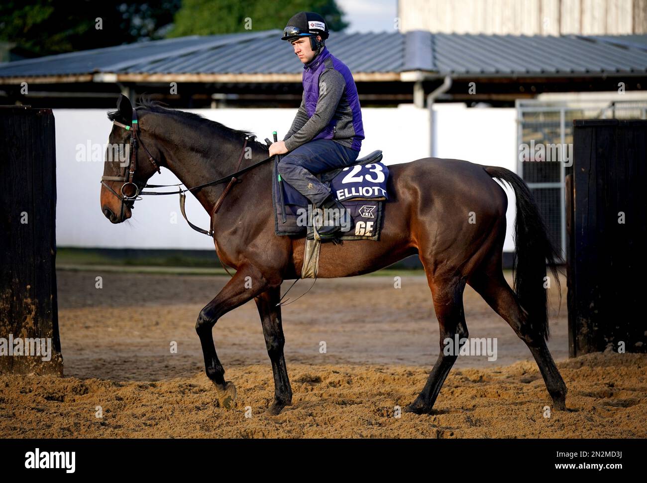 Gerri Colombe during a visit to Gordon Elliott's yard at Longwood in ...