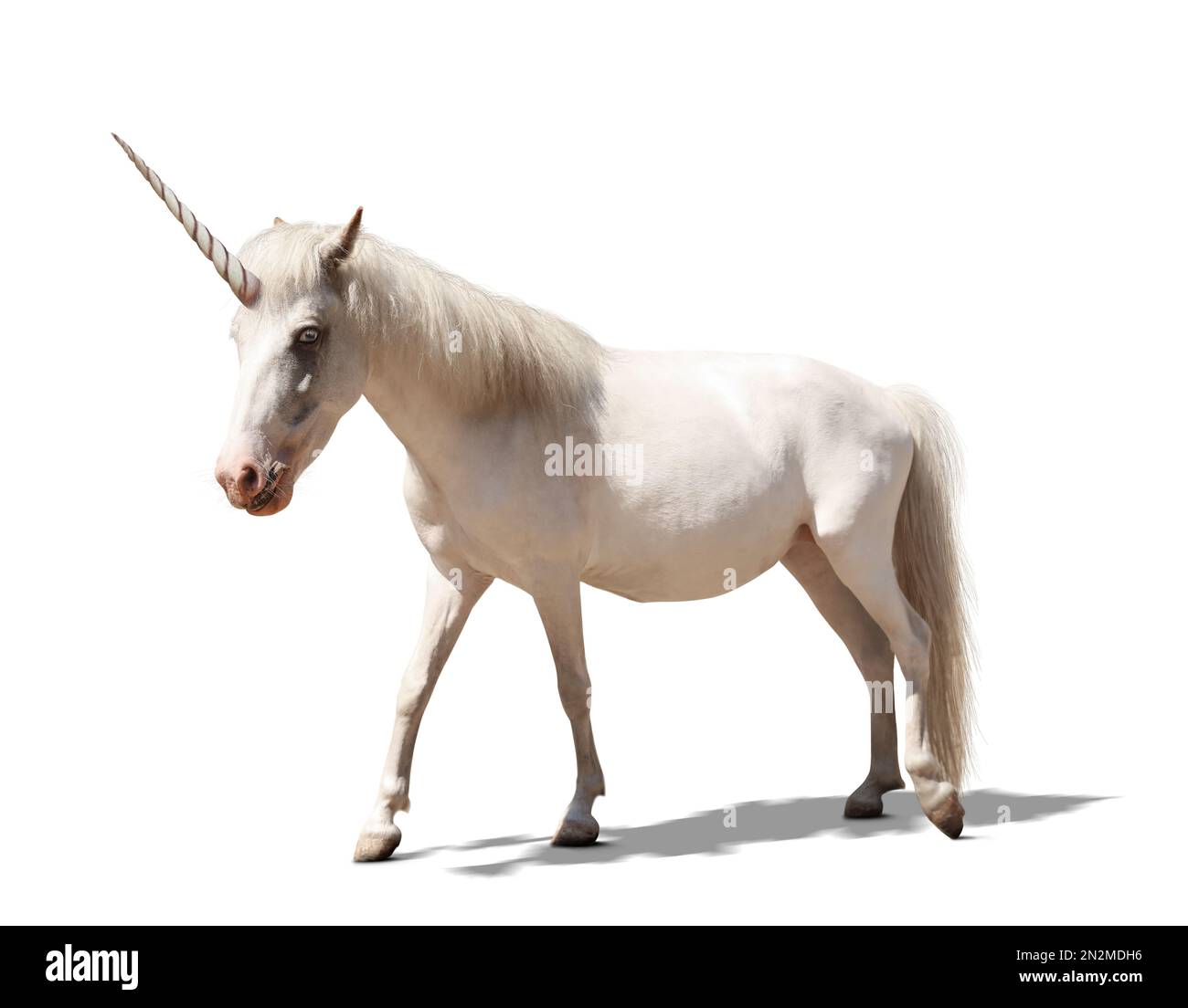 Amazing unicorn with beautiful mane on white background Stock Photo - Alamy