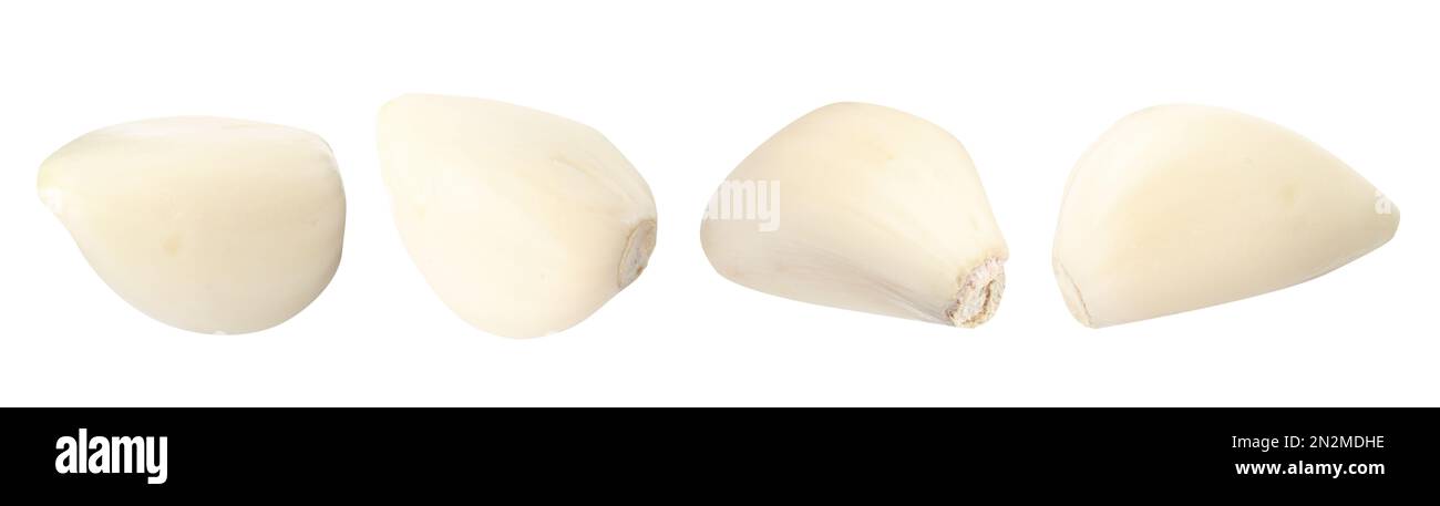 Set of fresh garlic cloves on white background. Banner design Stock ...