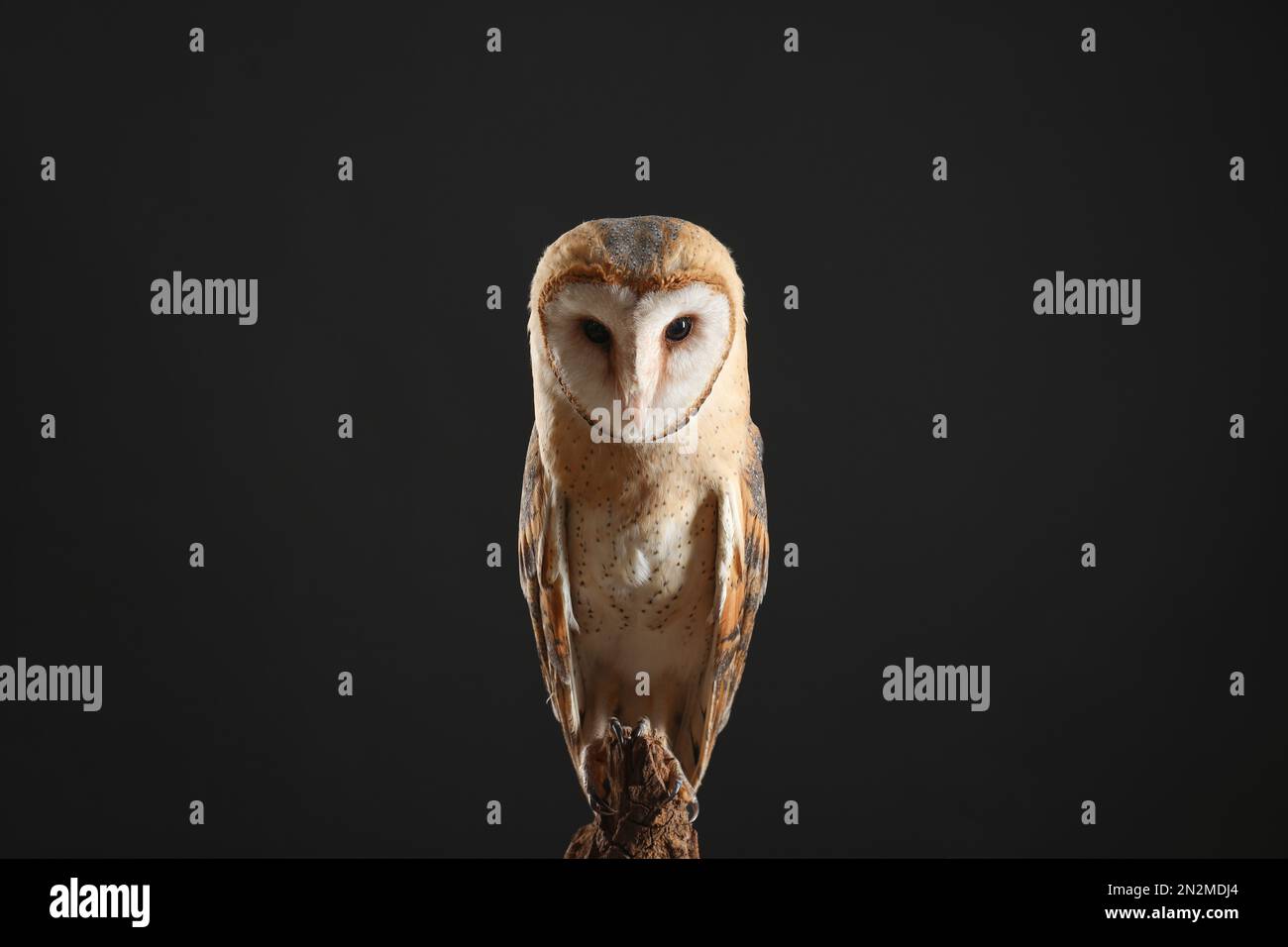 Classic barn background hi-res stock photography and images - Alamy