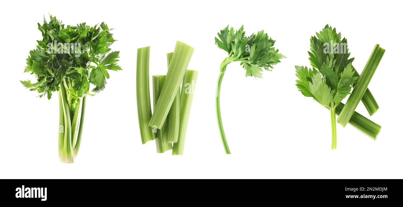 Collage with fresh green celery on white background. Banner design ...