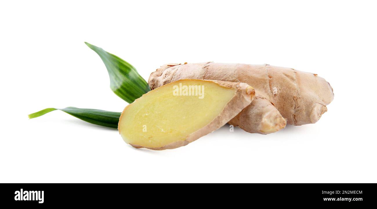 Whole and cut fresh ginger with leaves isolated on white background ...