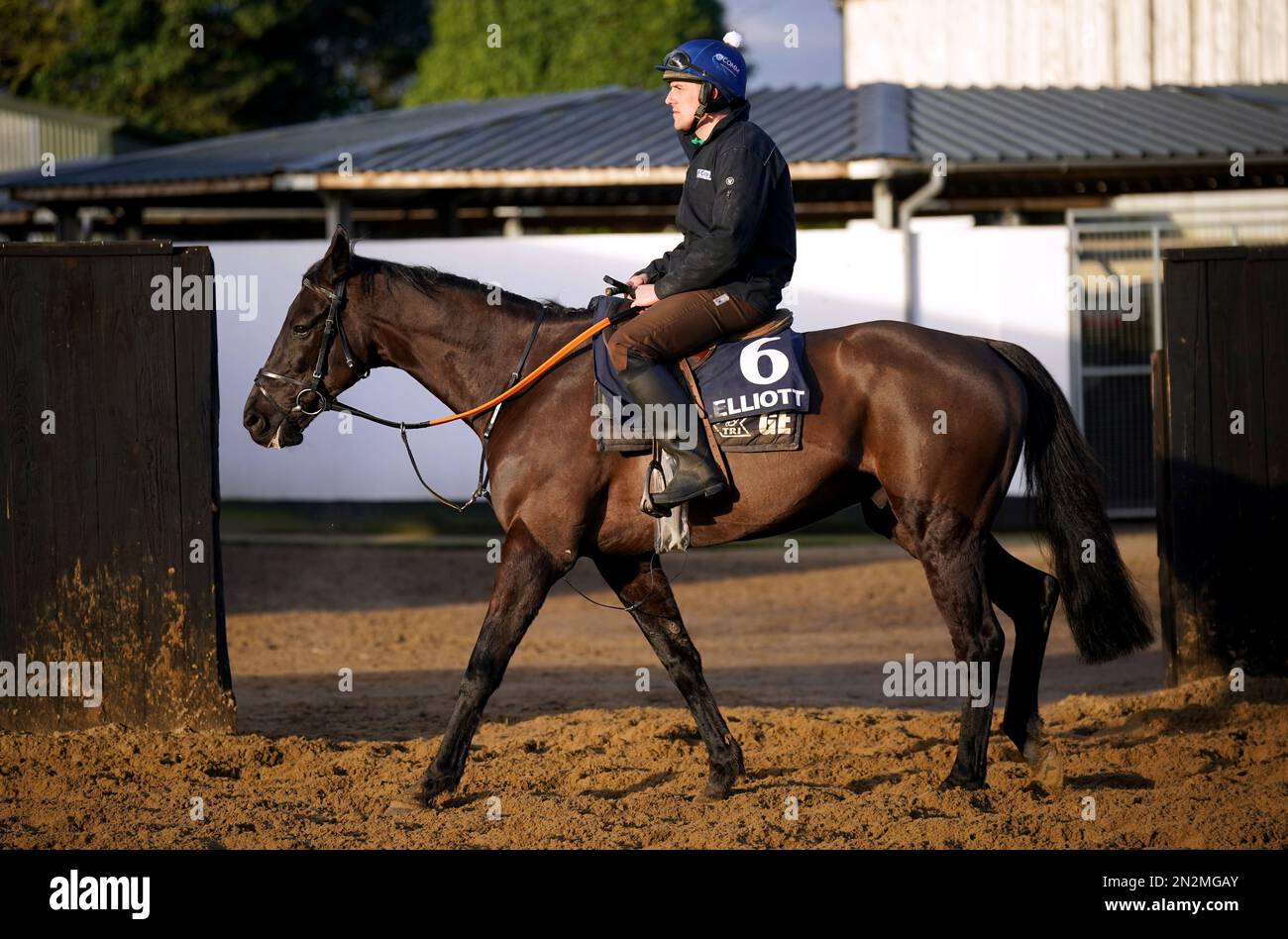 Delta Work during a visit to Gordon Elliott's yard at Longwood in ...