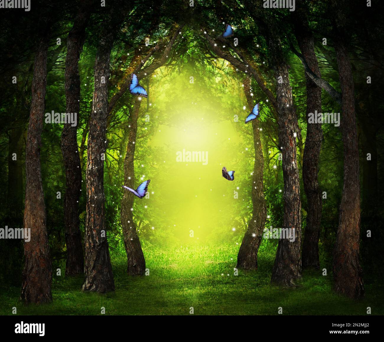 Fantasy world. Enchanted forest with magic lights, beautiful ...