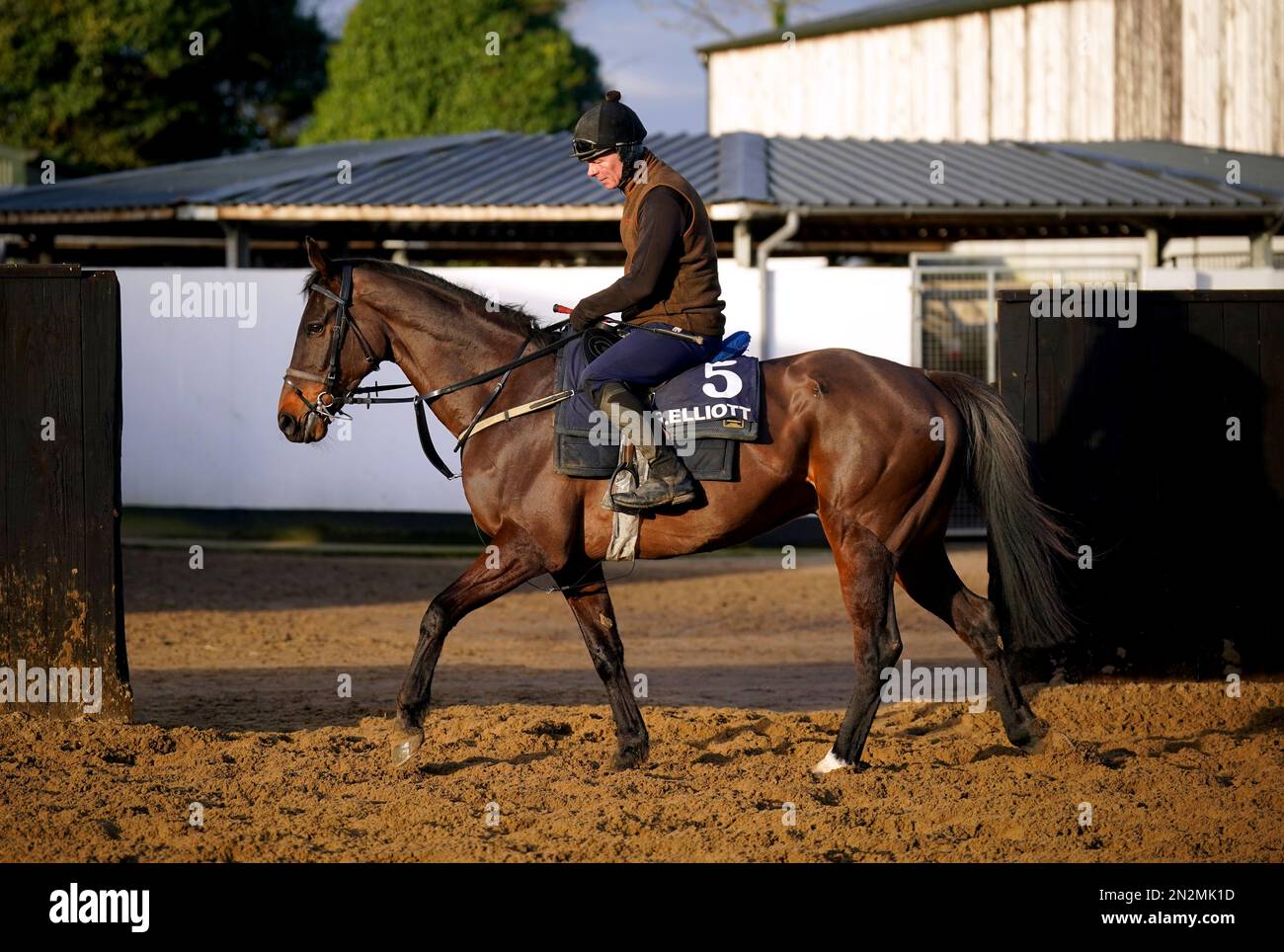 Conflated during a visit to Gordon Elliott's yard at Longwood in County ...