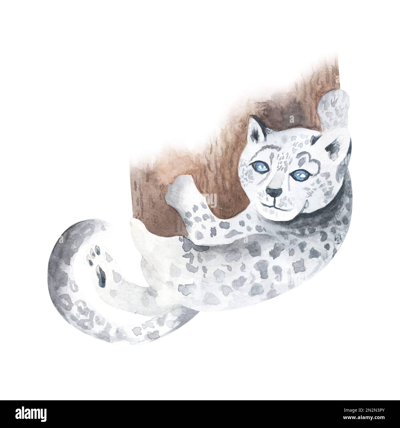 Leopard watercolor illustration. Snow leopard portrait laing near tree ...
