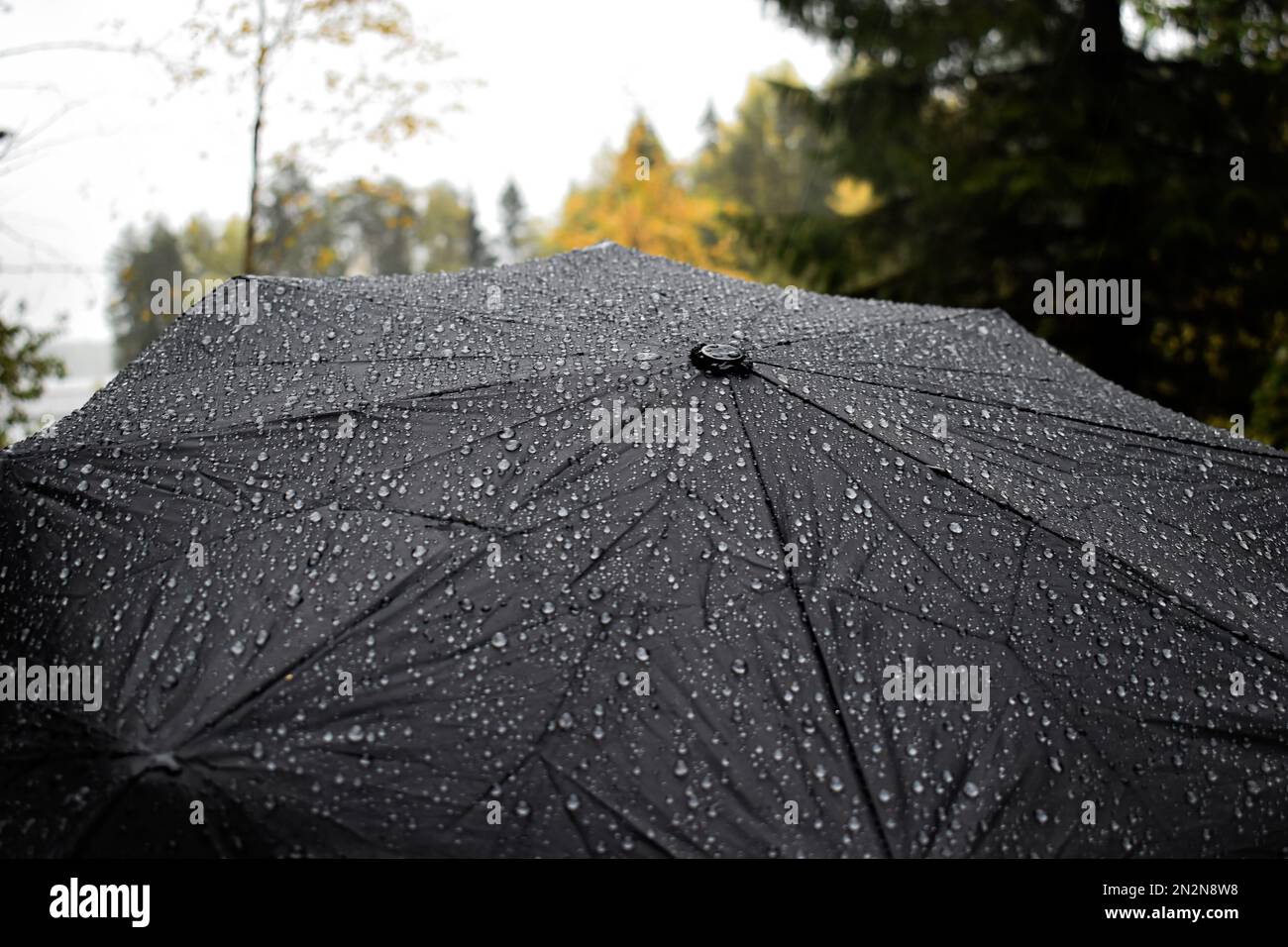 Rainy day with umbrella autumn Stock Photo - Alamy