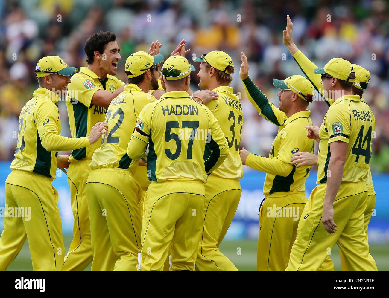 Australian players congratulate Mitchell Starc, second left, after he ...