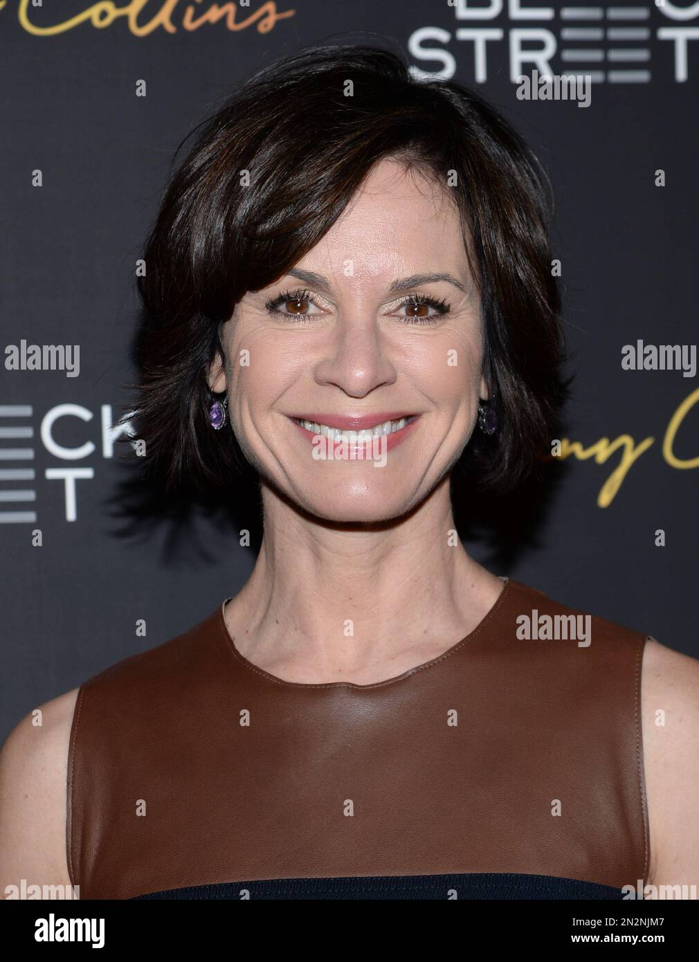 Elizabeth Vargas attends the premiere of "Danny Collins" at AMC Lincoln ...