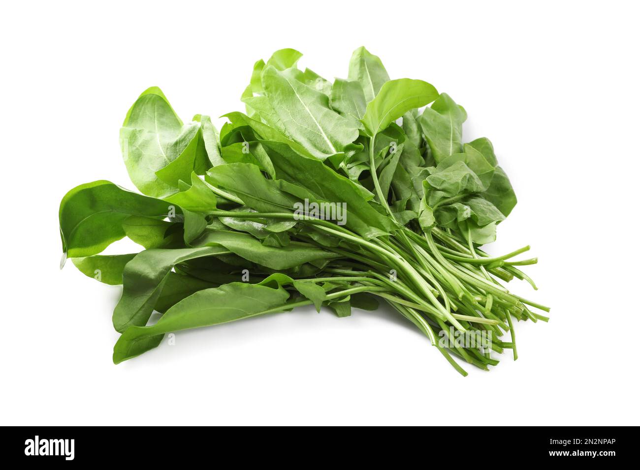 Bunch of fresh green sorrel leaves on white background Stock Photo - Alamy