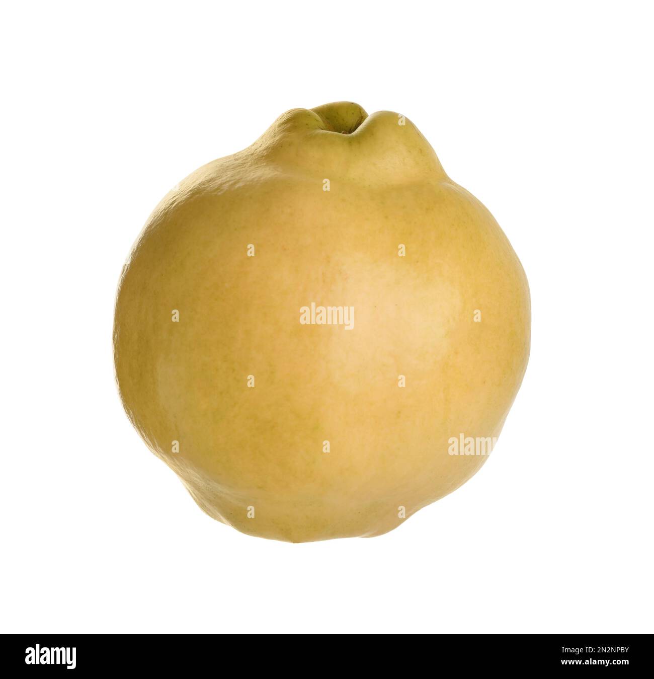 Fresh ripe quince fruit on white background Stock Photo - Alamy