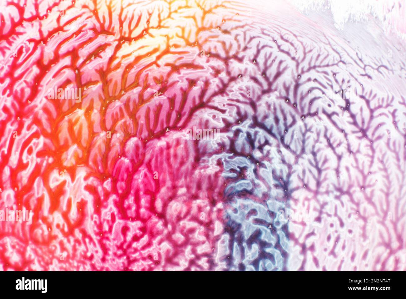 Abstract art creative painting, abstractionism Stock Photo - Alamy