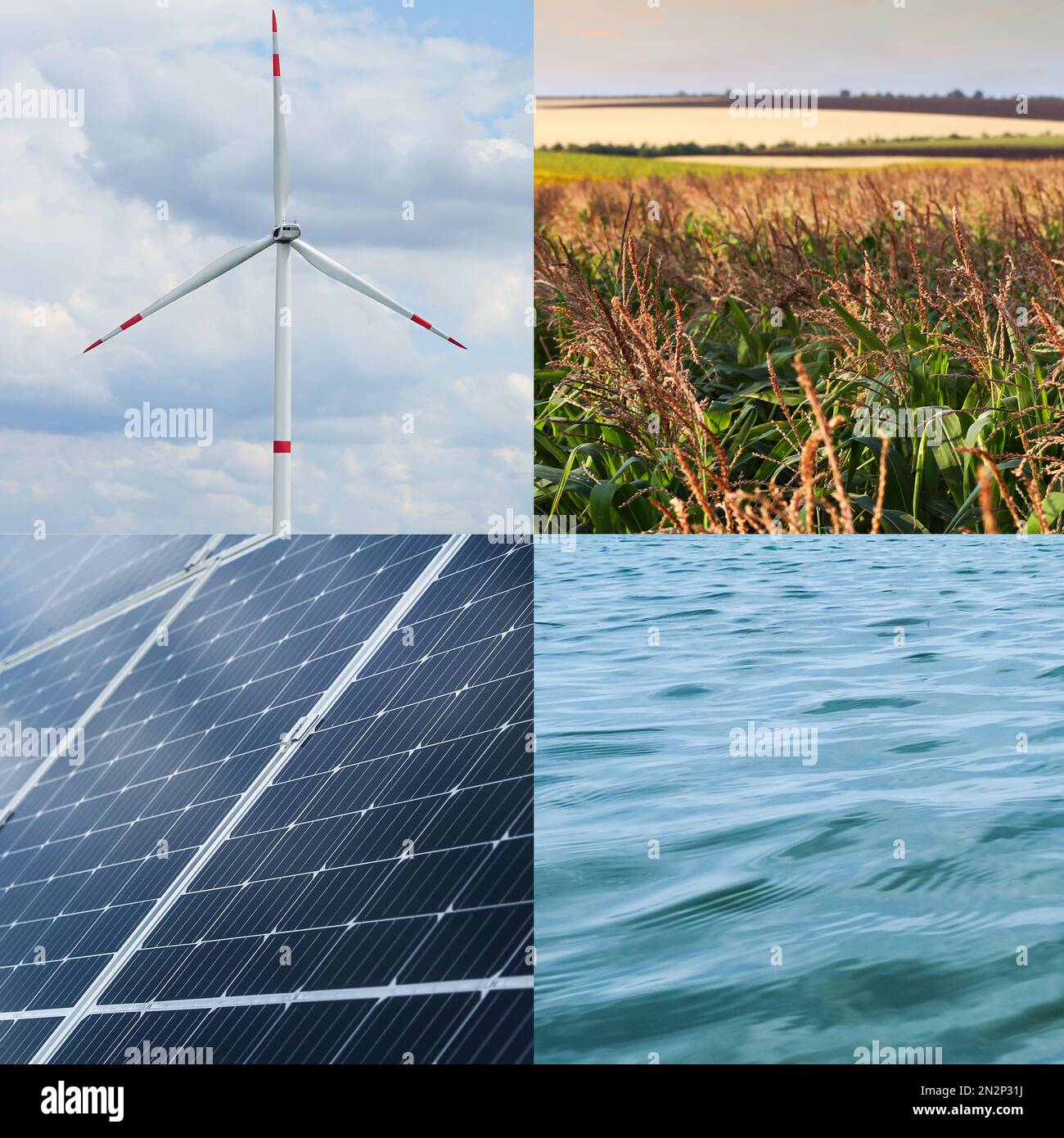 Collage with photos of water, field, solar panels and wind turbine ...