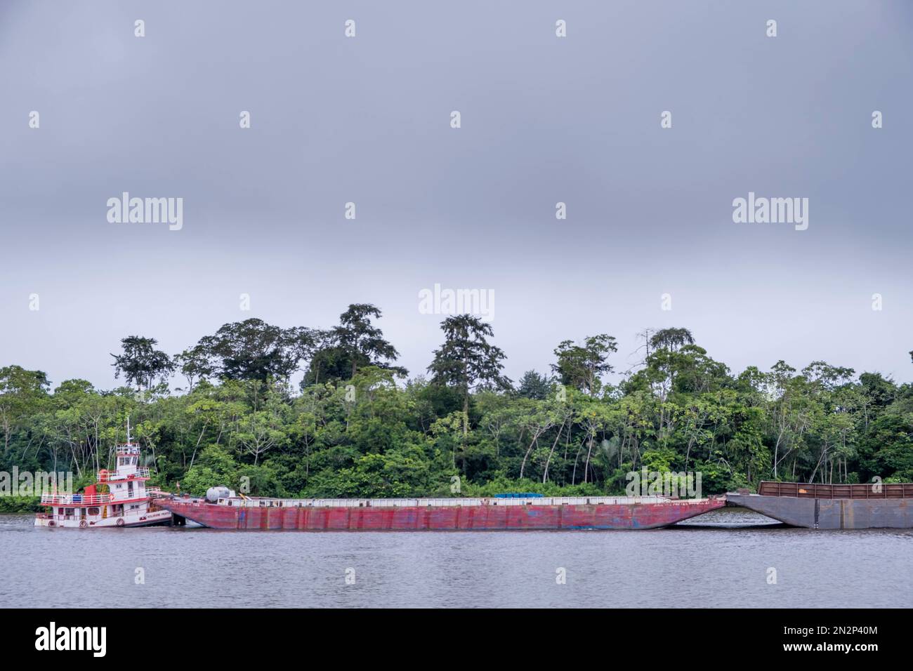 Tug pushing loaded river barges in the Amazon rainforest between Novo ...