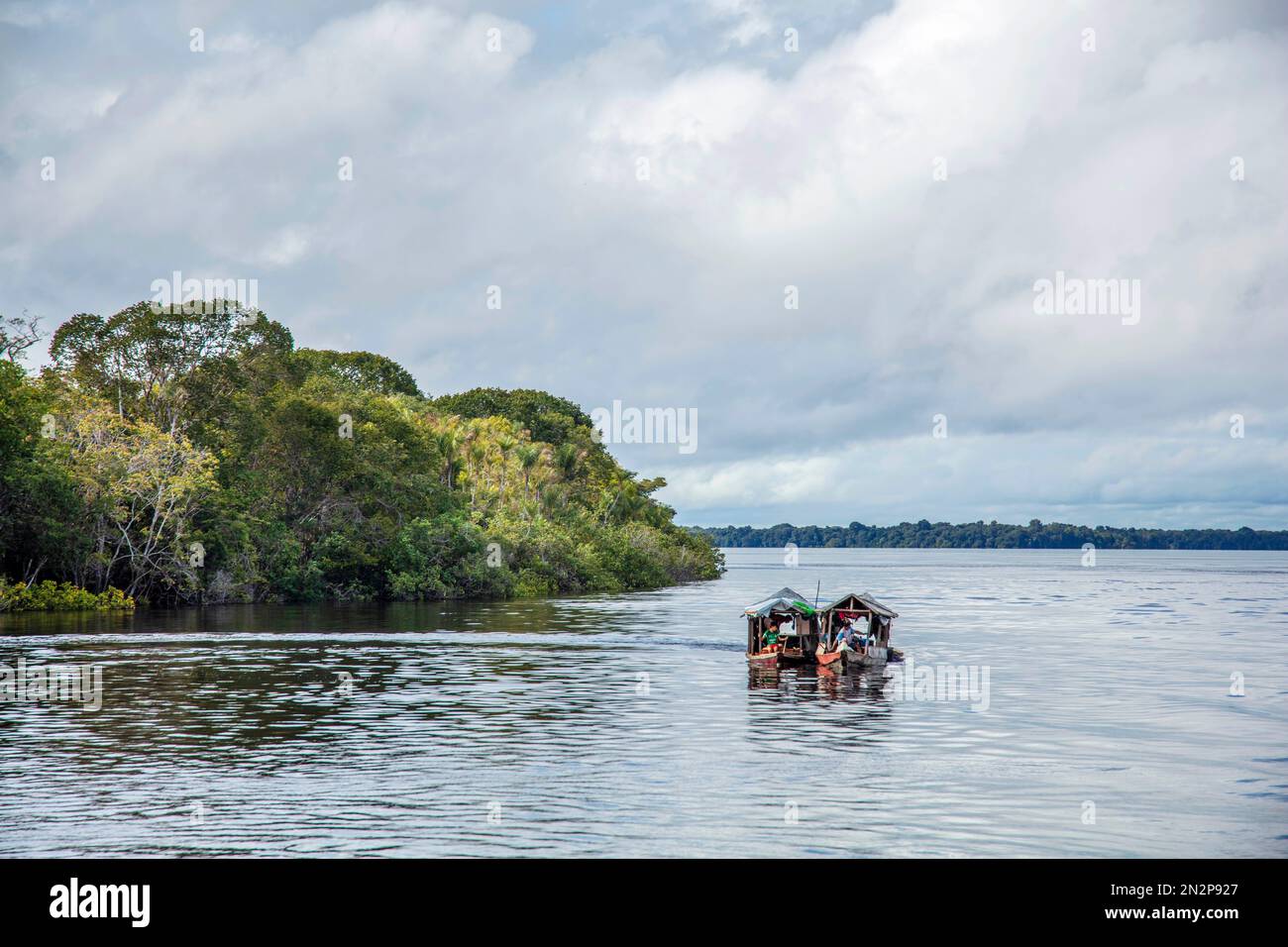 Aquarium fishers on the Demini River near Barcelos. Brazil, Amazon, Rio ...